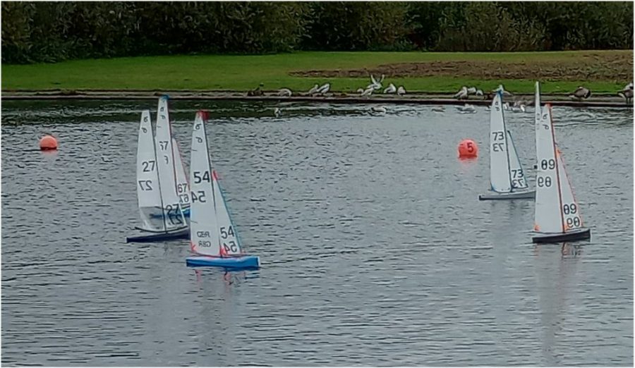 RG65 UK Class Association – Home of RG65 Class radio sailing in the UK